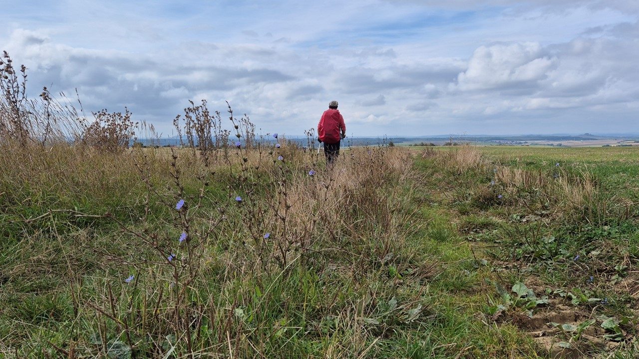 Tel est le chemin ... de Saint-Avold à Raville